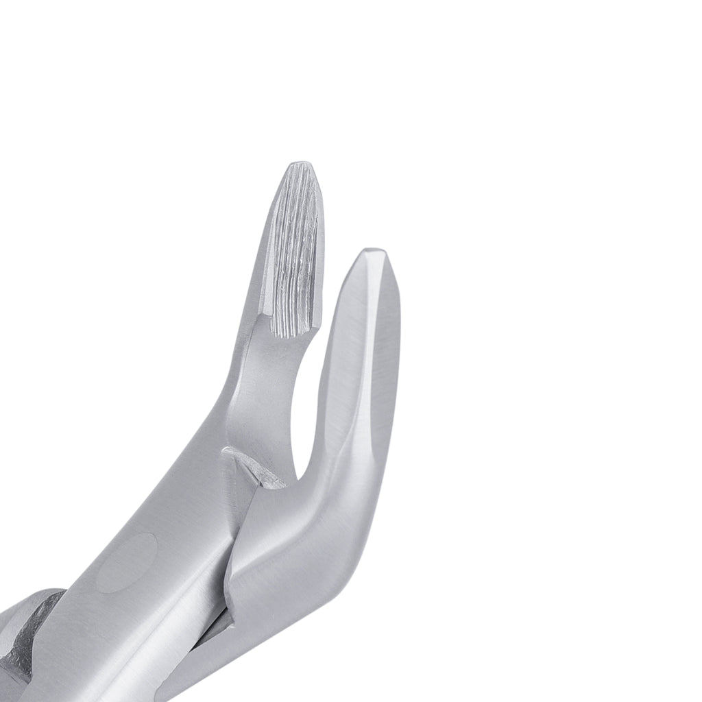 AF151 Apical Lower Universal Extraction Forcep – HiTeck Medical Instruments